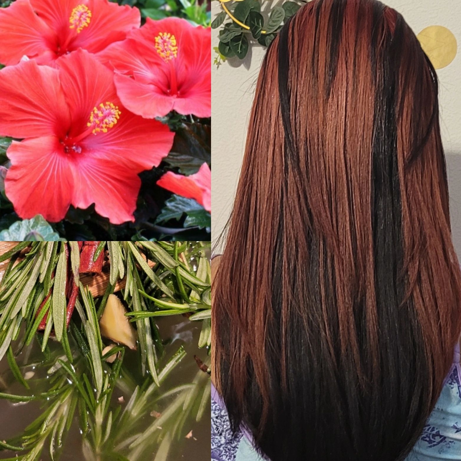 Jary's Magic Hair Grow - Natural Hair Products, Hair Grow